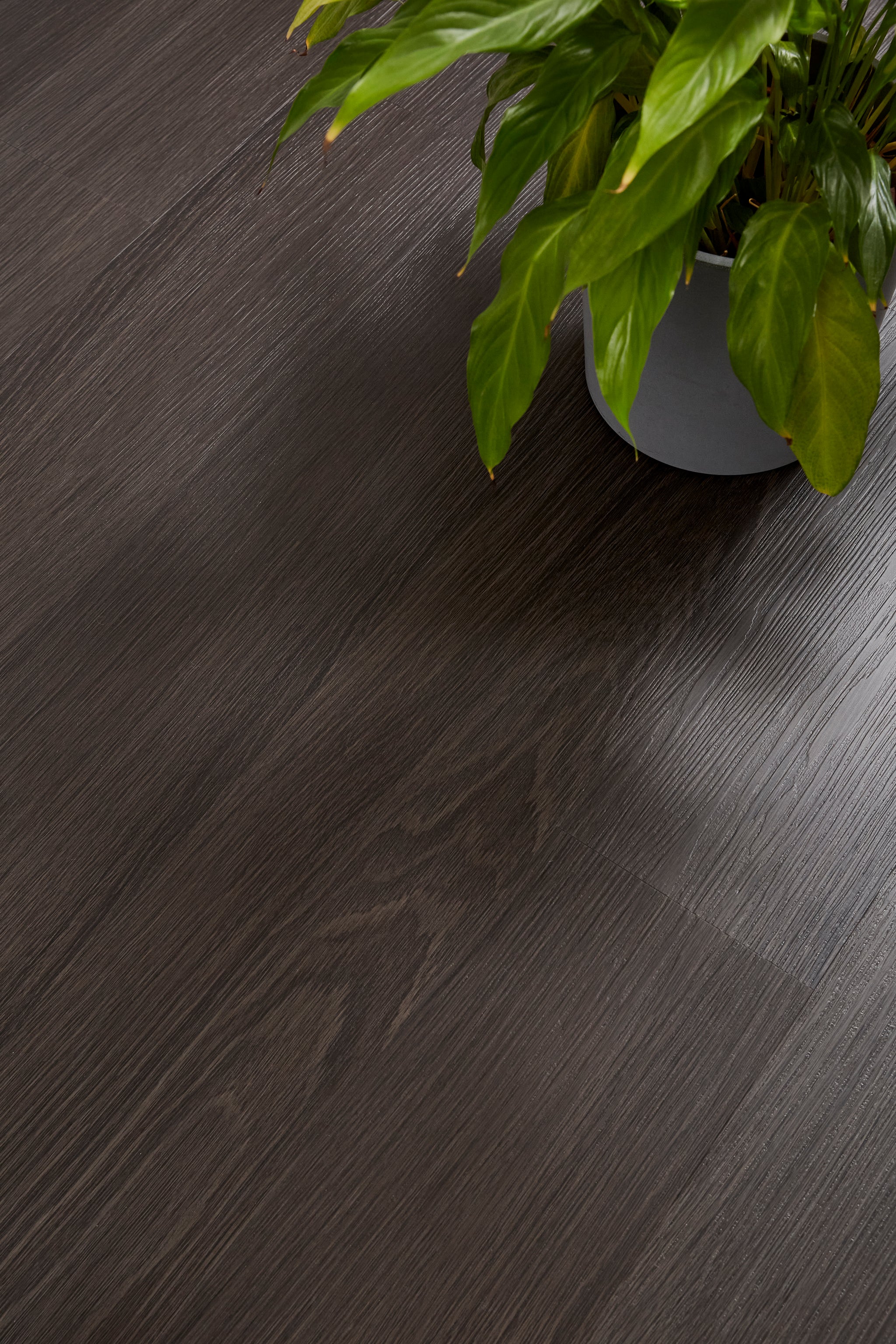 Aspirations® Flooring - Armstrong Flooring NZ